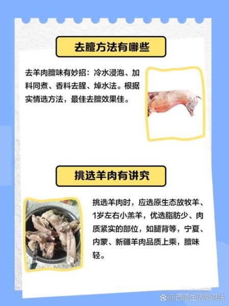 家常羊肉怎么做好吃_羊肉去膻味有哪些妙招-第3张图片-山城妙识