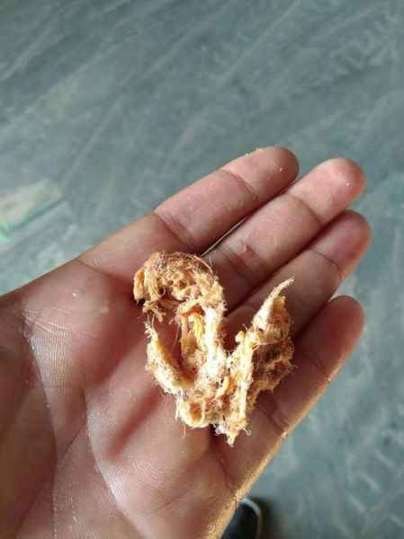 肉松棉花_真假区别-第1张图片-山城妙识