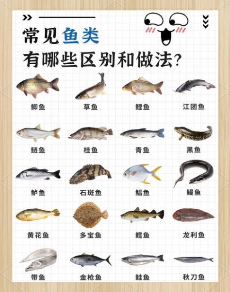 鱼怎么做好吃_家常鱼的做法大全-第3张图片-山城妙识