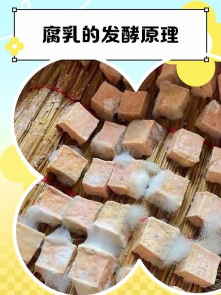 白腐乳怎么制作_白腐乳发酵需要多久-第2张图片-山城妙识 白腐乳怎么制作_白腐乳发酵需要多久-第2张图片-山城妙识