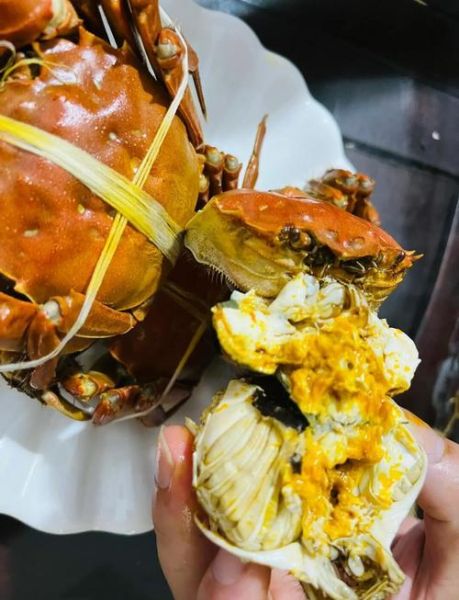 六月黄大闸蟹好吃吗_六月黄和阳澄湖大闸蟹区别-第1张图片-山城妙识 六月黄大闸蟹好吃吗_六月黄和阳澄湖大闸蟹区别-第1张图片-山城妙识