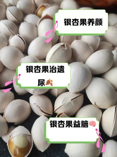 吃银杏果有什么副作用_银杏果中毒怎么办-第3张图片-山城妙识