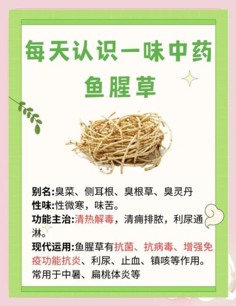 折耳根泡水喝的禁忌_哪些人不能喝-第1张图片-山城妙识