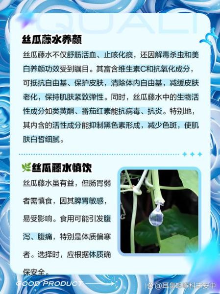 丝瓜水的功效与作用_丝瓜水怎么做-第1张图片-山城妙识