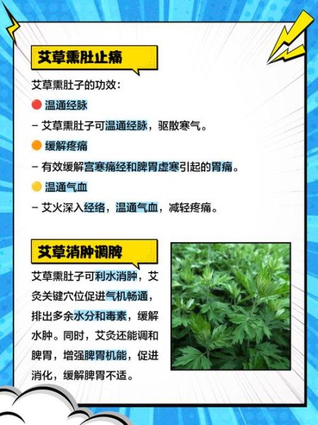 艾草的功效与作用_艾草怎么用效果最好-第3张图片-山城妙识