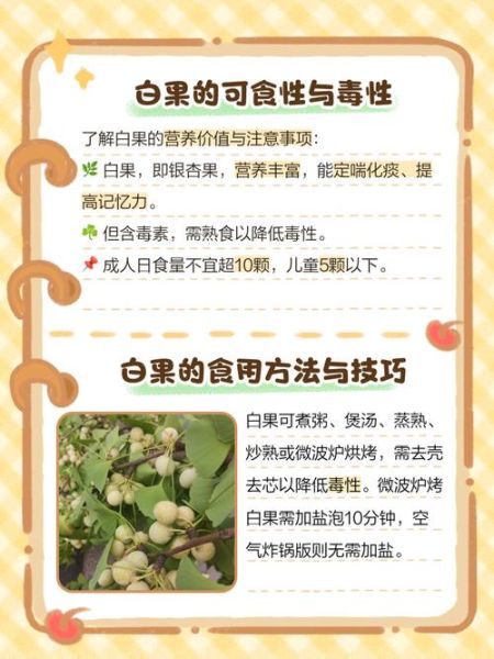 白果对甲状腺结节有用吗_怎么吃才安全-第1张图片-山城妙识