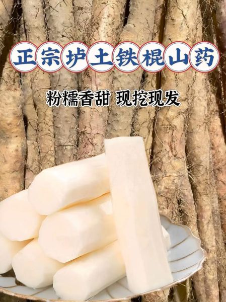 山药图片大全大图高清_山药高清大图怎么拍-第2张图片-山城妙识
