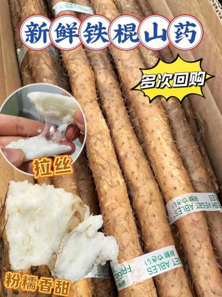 山药图片大全大图高清_山药高清大图怎么拍-第3张图片-山城妙识