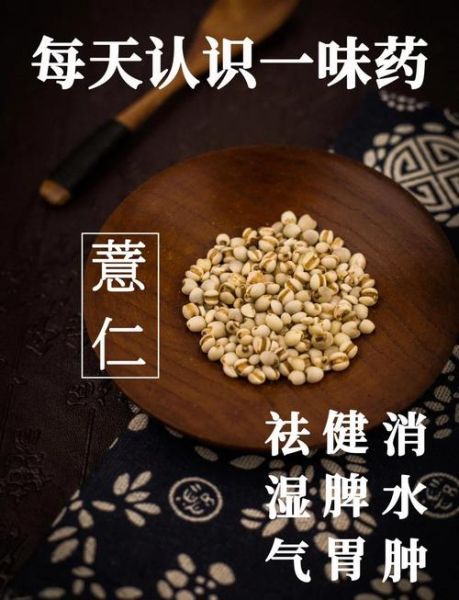 薏米仁的功效与作用_薏米仁怎么吃祛湿效果好-第2张图片-山城妙识