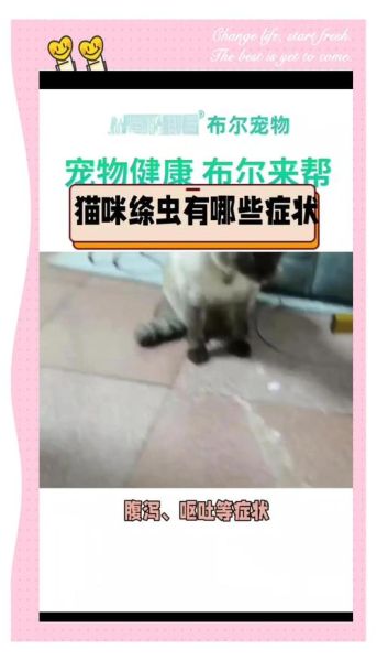 绦虫病症状_感染后多久出现-第3张图片-山城妙识