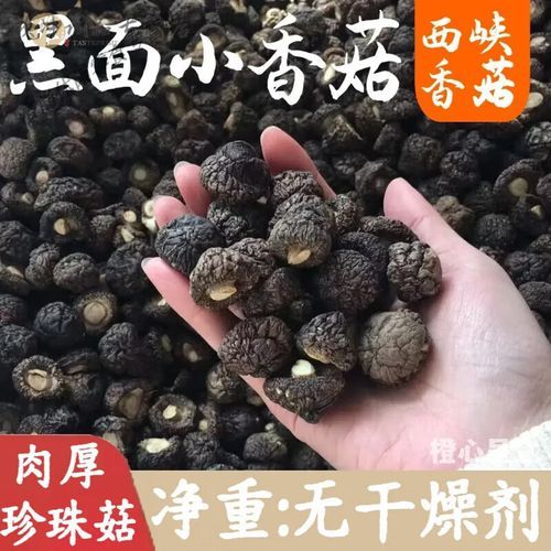 珍珠菇是什么_珍珠菇怎么做好吃-第1张图片-山城妙识
