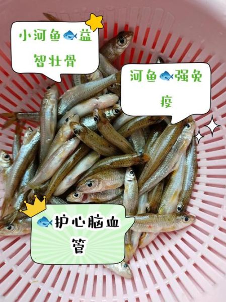 小河鱼种类大全_如何分辨常见小河鱼-第1张图片-山城妙识