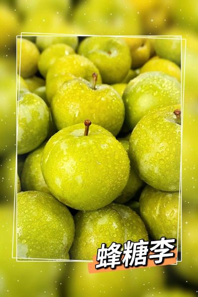 枫糖李是什么_枫糖李怎么吃-第3张图片-山城妙识