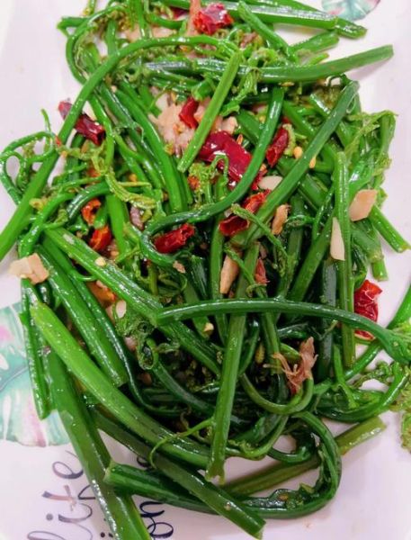 厥菜怎么做好吃_厥菜的功效与作用-第1张图片-山城妙识