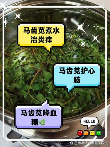 苋菜根的功效与作用_苋菜根怎么吃最好-第3张图片-山城妙识