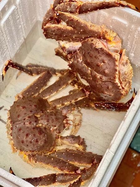 帝王蟹怎么杀_帝王蟹宰杀步骤图解-第3张图片-山城妙识