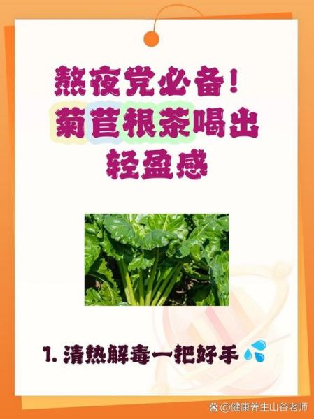 菊苣根茶能减肥吗_菊苣根茶的功效与作用-第3张图片-山城妙识