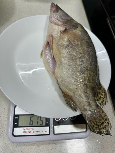 臭鳜鱼危害有哪些_臭鳜鱼吃了会中毒吗-第1张图片-山城妙识 臭鳜鱼危害有哪些_臭鳜鱼吃了会中毒吗-第1张图片-山城妙识