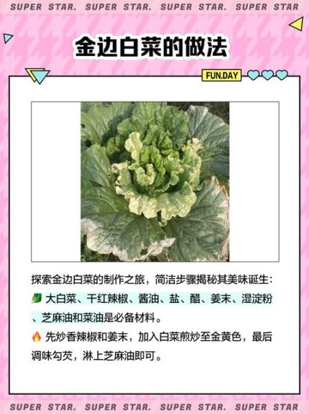 金边白菜怎么炒才脆_金边白菜做法窍门-第3张图片-山城妙识