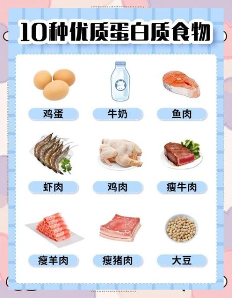 高蛋白高营养的食物有哪些_如何科学搭配-第1张图片-山城妙识