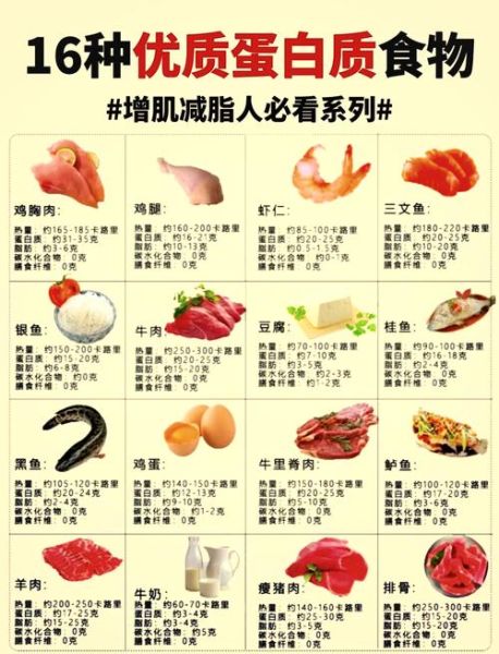 高蛋白高营养的食物有哪些_如何科学搭配-第3张图片-山城妙识