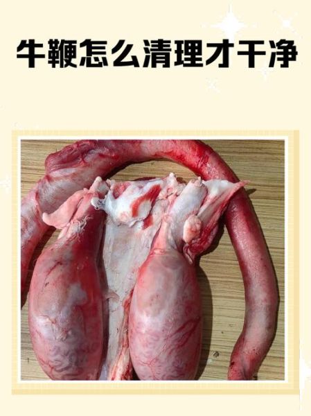 牛鞭怎么处理干净_牛鞭清洗去腥技巧-第2张图片-山城妙识 牛鞭怎么处理干净_牛鞭清洗去腥技巧-第2张图片-山城妙识