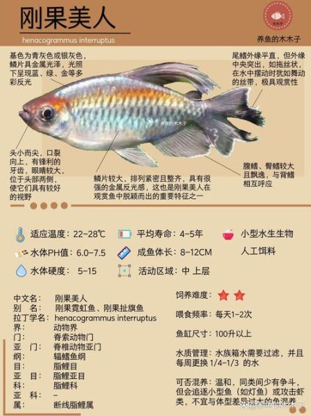 各种鱼类图片大全大图_高清观赏指南-第3张图片-山城妙识