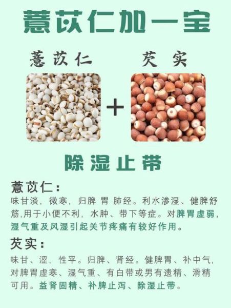 薏米能减肥吗_薏米的功效与作用及禁忌-第1张图片-山城妙识