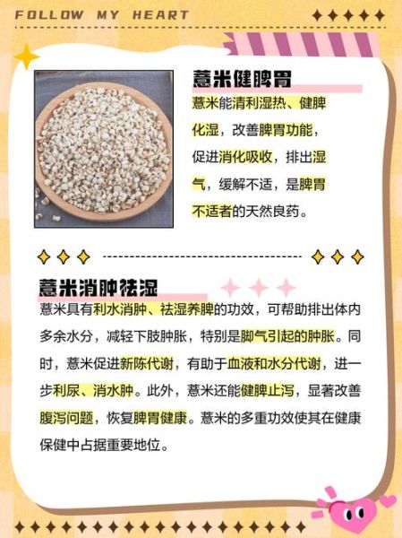 薏米能减肥吗_薏米的功效与作用及禁忌-第3张图片-山城妙识