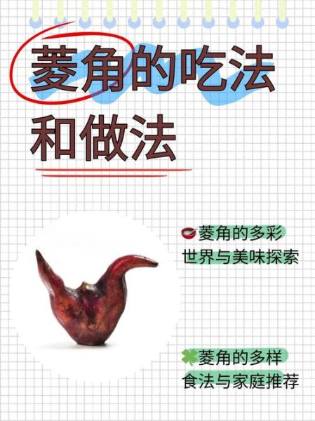 菱角的功效与作用禁忌_菱角什么人不能吃-第2张图片-山城妙识