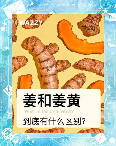 姜黄是什么颜色_姜黄和咖喱颜色区别-第1张图片-山城妙识