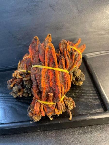 壮阳草药图片大全_哪些草药真正有效-第1张图片-山城妙识