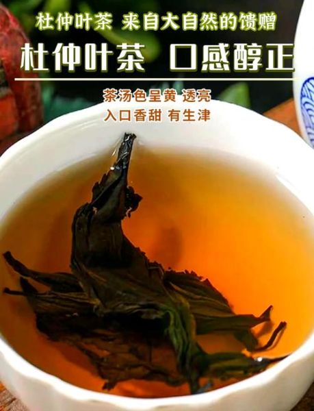 杜仲茶的功效与作用_杜仲茶的禁忌有哪些-第1张图片-山城妙识