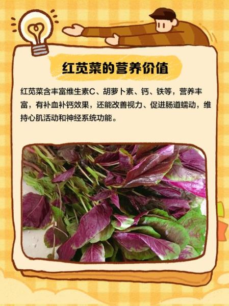 苋菜红孕妇可以吃吗_对胎儿有影响吗-第3张图片-山城妙识