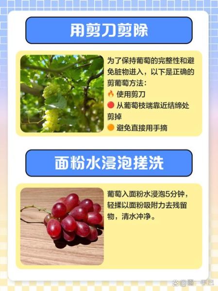 洗葡萄可以用盐水泡吗_盐水泡葡萄的正确方法-第2张图片-山城妙识