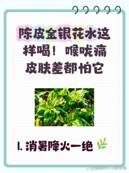 金银花泡水喝的禁忌_金银花有哪些副作用-第3张图片-山城妙识