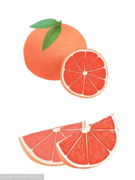 西柚图片卡通_如何画出可爱西柚卡通-第1张图片-山城妙识