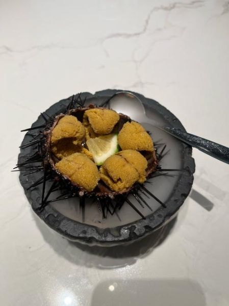 女人吃海胆有什么坏处_海胆过敏症状有哪些-第3张图片-山城妙识