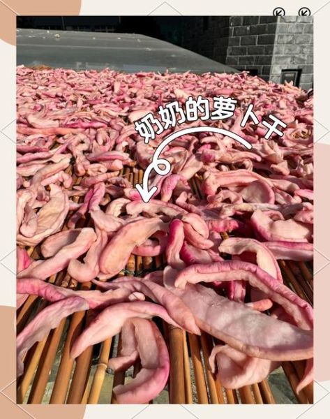 干萝卜干怎么腌制_干萝卜干腌制方法-第1张图片-山城妙识