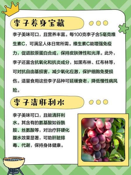 李子的功效与作用及禁忌_李子吃多了有什么坏处-第1张图片-山城妙识