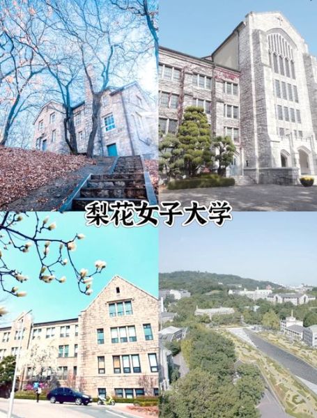 梨花女子大学排名怎么样_梨花女子大学世界排名多少-第3张图片-山城妙识
