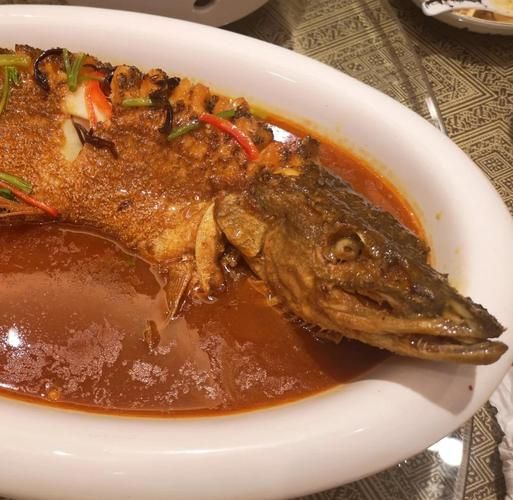 红烧乔尔泰鱼怎么做_乔尔泰鱼去腥技巧-第1张图片-山城妙识 红烧乔尔泰鱼怎么做_乔尔泰鱼去腥技巧-第1张图片-山城妙识