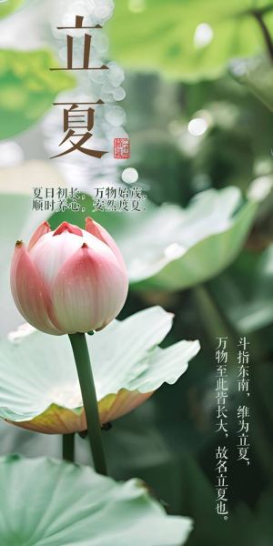 立夏的句子短句唯美_立夏文案怎么写-第1张图片-山城妙识