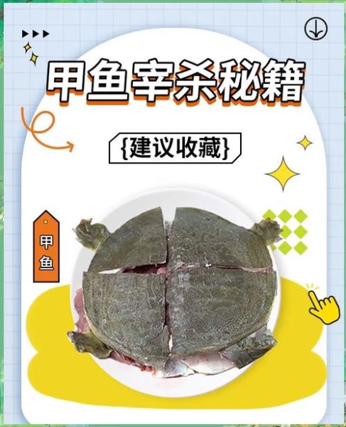 怎样杀甲鱼最好方法_甲鱼宰杀视频教程-第1张图片-山城妙识 怎样杀甲鱼最好方法_甲鱼宰杀视频教程-第1张图片-山城妙识