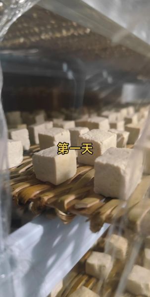 毛豆腐怎么做_毛豆腐需要发酵多久-第1张图片-山城妙识