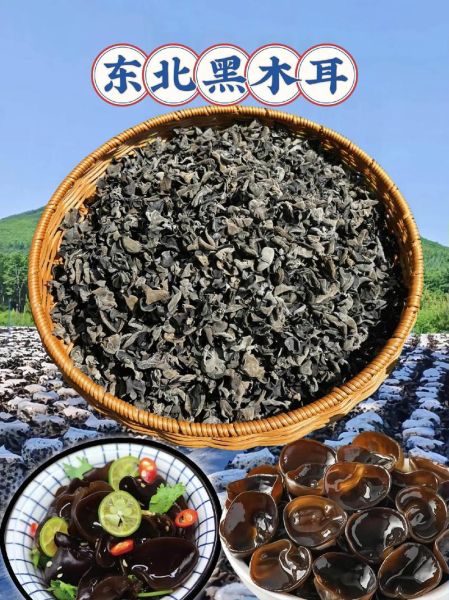 那种超大的木耳是什么品种_东北毛木耳与地栽黑木耳区别-第2张图片-山城妙识