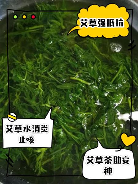 艾叶水喝多了的副作用_艾叶水一天喝多少合适-第1张图片-山城妙识