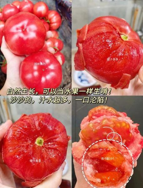 西红柿生吃还是熟吃_西红柿最佳吃法有哪些-第3张图片-山城妙识 西红柿生吃还是熟吃_西红柿最佳吃法有哪些-第3张图片-山城妙识