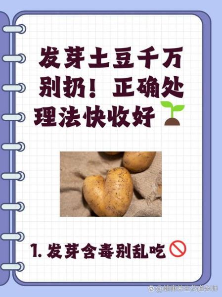 吃了发芽土豆怎么解毒_土豆发芽中毒急救方法-第2张图片-山城妙识