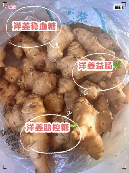 洋姜不能和什么一起吃_洋姜相克食物有哪些-第3张图片-山城妙识